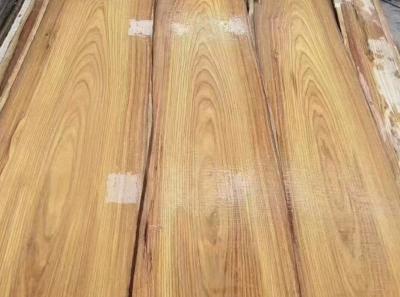 China Kosso／ambila Natural Wood Veneer for sale