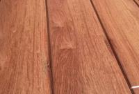 China Fire-Resistant Burmese Pear Natural Wood Veneer 0.5m-3.6m for Ship Interior Decoration for sale