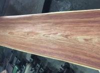 China Burma Padauk Natural Wood Veneer 0.5m-3.6m Length 0.3mm-3mm Thickness for sale
