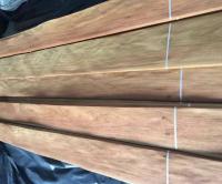 China Burma Padauk Natural Wood Veneer 0.5m-3.6m Length 0.3mm-3mm Thickness for sale
