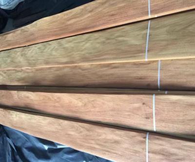 China Burma Padauk Natural Wood Veneer 0.5m-3.6m Length 0.3mm-3mm Thickness for sale