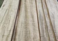 China Curly Maple Wood Veneer Sheets 0.5m to 3.6m for Furniture Manufacturing for sale