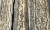 China Bocote Wood Veneer 8-40cm Width Natural Heavy Oiliness for Musical Instruments for sale