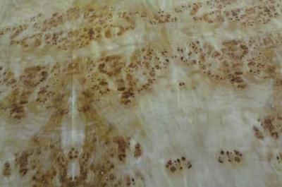 China Mappa Burl Natural Wood Veneer 0.5mm Thick Length 0.5m-3.6m for Furniture Decoration for sale
