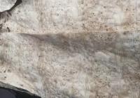China Mappa Burl Natural Wood Veneer 0.5mm Thick Length 0.5m-3.6m for Furniture Decoration for sale