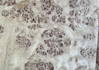 China Mappa Burl Natural Wood Veneer 0.5mm Thick Length 0.5m-3.6m for Furniture Decoration for sale