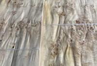China Mappa Burl Natural Wood Veneer 0.5mm Thick Length 0.5m-3.6m for Furniture Decoration for sale