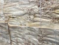 China Mappa Burl Natural Wood Veneer 0.5mm Thick Length 0.5m-3.6m for Furniture Decoration for sale