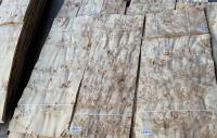 China Mappa Burl Natural Wood Veneer 0.5mm Thick Length 0.5m-3.6m for Furniture Decoration for sale