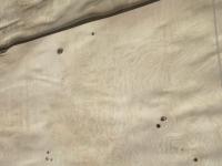 China 0.5mm Ash Burl Natural Wood Veneer 20cm-2.7m for High End Furniture Decorative Panels for sale
