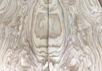 China 0.5mm Ash Burl Natural Wood Veneer 20cm-2.7m for High End Furniture Decorative Panels for sale