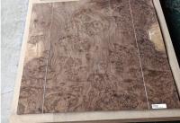 China Walnut Burl Wood Veneer Sheets 20cm-2.7m Length 20cm-1.3m Width Natural Wood Veneer for sale