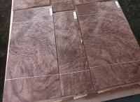 China Walnut Burl Wood Veneer Sheets 20cm-2.7m Length 20cm-1.3m Width Natural Wood Veneer for sale