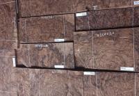 China Walnut Burl Wood Veneer Sheets 20cm-2.7m Length 20cm-1.3m Width Natural Wood Veneer for sale