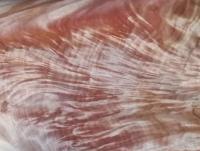 China Okoume Crotch Figured Natural Wood Veneer 0.52mm Thick Length 40cm to 2.7m for sale