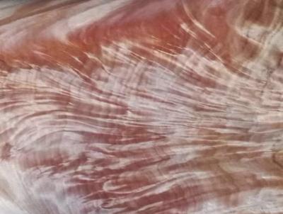 China Okoume Crotch Figured Natural Wood Veneer 0.52mm Thick Length 40cm to 2.7m for sale