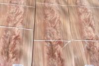 China Okoume Crotch Figured Natural Wood Veneer 0.52mm Thick Length 40cm to 2.7m for sale