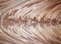China Mahogany Crotch Wood Veneer 0.5mm Thick Natural Veneer for Furniture Flooring for sale