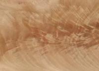 China Mahogany Crotch Wood Veneer 0.5mm Thick Natural Veneer for Furniture Flooring for sale
