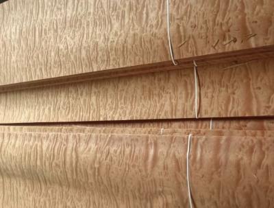 China Macore Pomelle Natural Wood Veneer Sheets 0.52mm for Furniture Decoration for sale