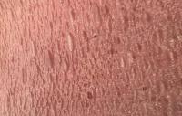 China Sapele Pommele Natural Wood Veneer Width 30cm to 1m Length 40cm to 2.7m for sale