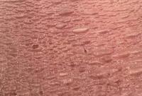 China Sapele Pommele Natural Wood Veneer Width 30cm to 1m Length 40cm to 2.7m for sale