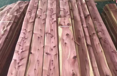 China Aromatic Red Cedar Natural Wood Veneer 50C Thickness for Furniture Wardrobes for sale