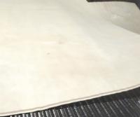 China 0.25-0.5mm Russian Birch Veneer Rotary Cut Wood Veneer 1270x2500mm for sale