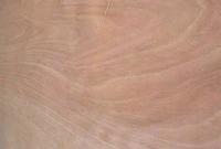 China Okoume Rotary Peeled Veneer 0.1-0.5mm Thickness 1270x2500mm B Grade for sale