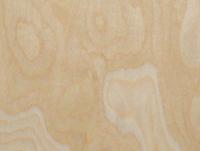 China Maple Tree Roots Engineered Wood Veneer 2.5m x 64cm Customizable Size for sale