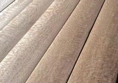 China Dyed Lacewood Veneer 0.25-0.6mm Thick for Furniture Design and Decoration for sale