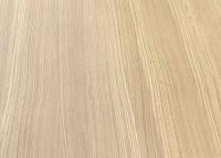 China Whitmme Oak Veneer Sheets Interior Wall Covering Decorative Panel for sale