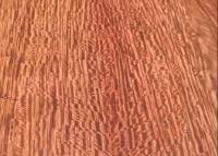China Burma Padauk Natural Wood Veneer 8-40cm Width for Furniture Production for sale