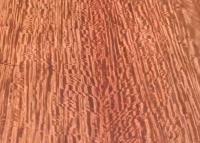 China Burma Padauk Natural Wood Veneer 0.5m-3.6m Length 0.3mm-3mm Thickness for sale
