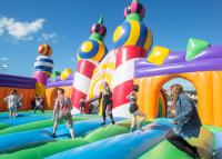 China Children Adults Polyvinyl Chloride bouncy castle theme park quadruple stitching for sale