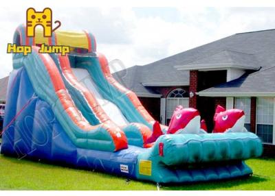 China Kids Marble Wet Dry Inflatable Water Slide Colorful Custom Size for sale