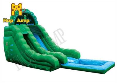 China Children Green Color Pvc Inflatable Water Slide With Pool for sale