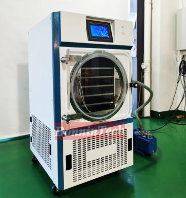 China Commercial Vacuum Freeze Dryer Lyophilizer 0.4m2 4kg 24h Food Fruit Vegetable Drying Machine for sale
