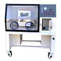 China HYQX-I Microbes Laboratory Anaerobic Incubator Workstation 13L LCD Display for sale