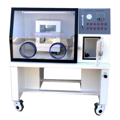 China HYQX-I Microbes Laboratory Anaerobic Incubator Workstation 13L LCD Display for sale