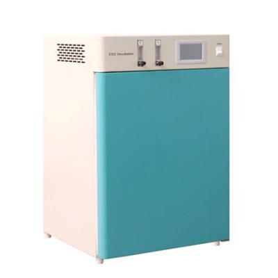 China Bonnin CO2 Incubator Air Jacket Water Jacket 80L 160L Microbiology Lab Biological Incubator for sale
