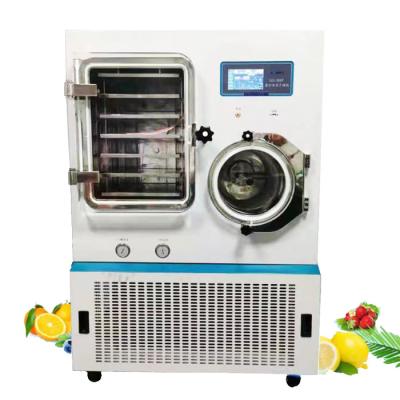 China In Situ Freeze Dryer Lyophilizer for IVD Reagents Medical Biosample -75°C 1.04M2 for sale