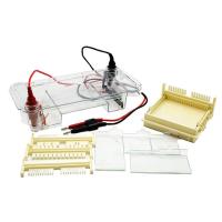 China Nucleic Acid Vertical Horizontal Gel Electrophoresis Apparatus 245x250mm 216x110mm for sale