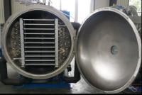 China Large Capacity Food Freeze Dryer Machine LG-1 LG-5 1m2 5m2 for Vegetables Fruit for sale