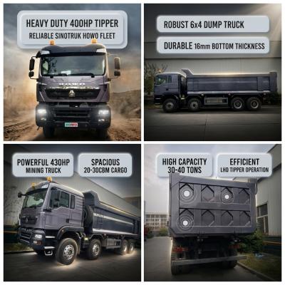 China Tipper Truck SINOTRUK HOWO 400HP 12 Wheels LHD 30-40 Tons 20-30CBM ZZ3317V356GB1 for sale