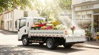 China HOWO Light Duty Truck 3-5 Tons | ZZ1047D3414C145 Chassis | 85HP Engine | 4495kg Gross Weight for sale
