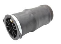 China Rear Benz W639 6393280101 Air Suspension Spring for sale