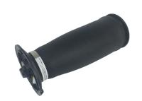 China BMW E61 2003-2010 37126765603 Air Suspension Spring for sale