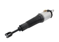 China Audi A84E 4E0616040AF Driver Side Strut Replacement for sale