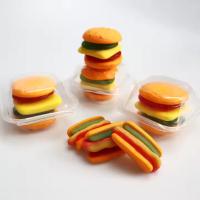 China Multi Colored Ordinary Soft Fruit Gummies Interesting Mini Hamburger Shape for sale